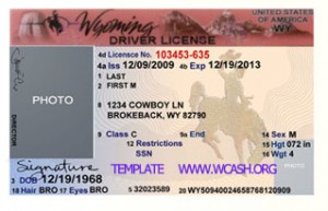 Wyoming Drivers License PSD | Template photoshop